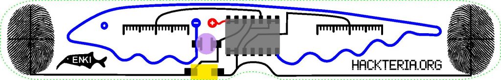 Fish-brain-machine – Antony Hall