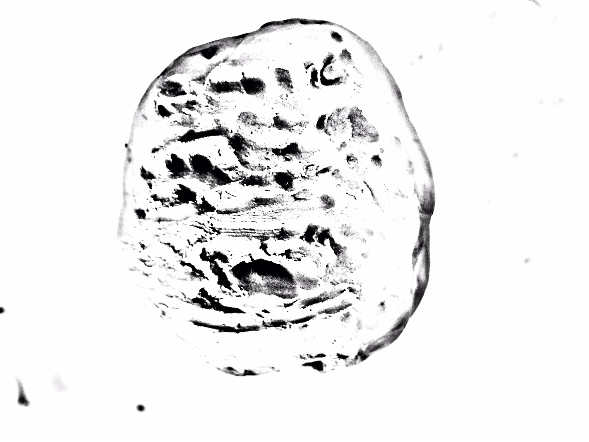 On the embodiment of unfeasible objects – Antony Hall