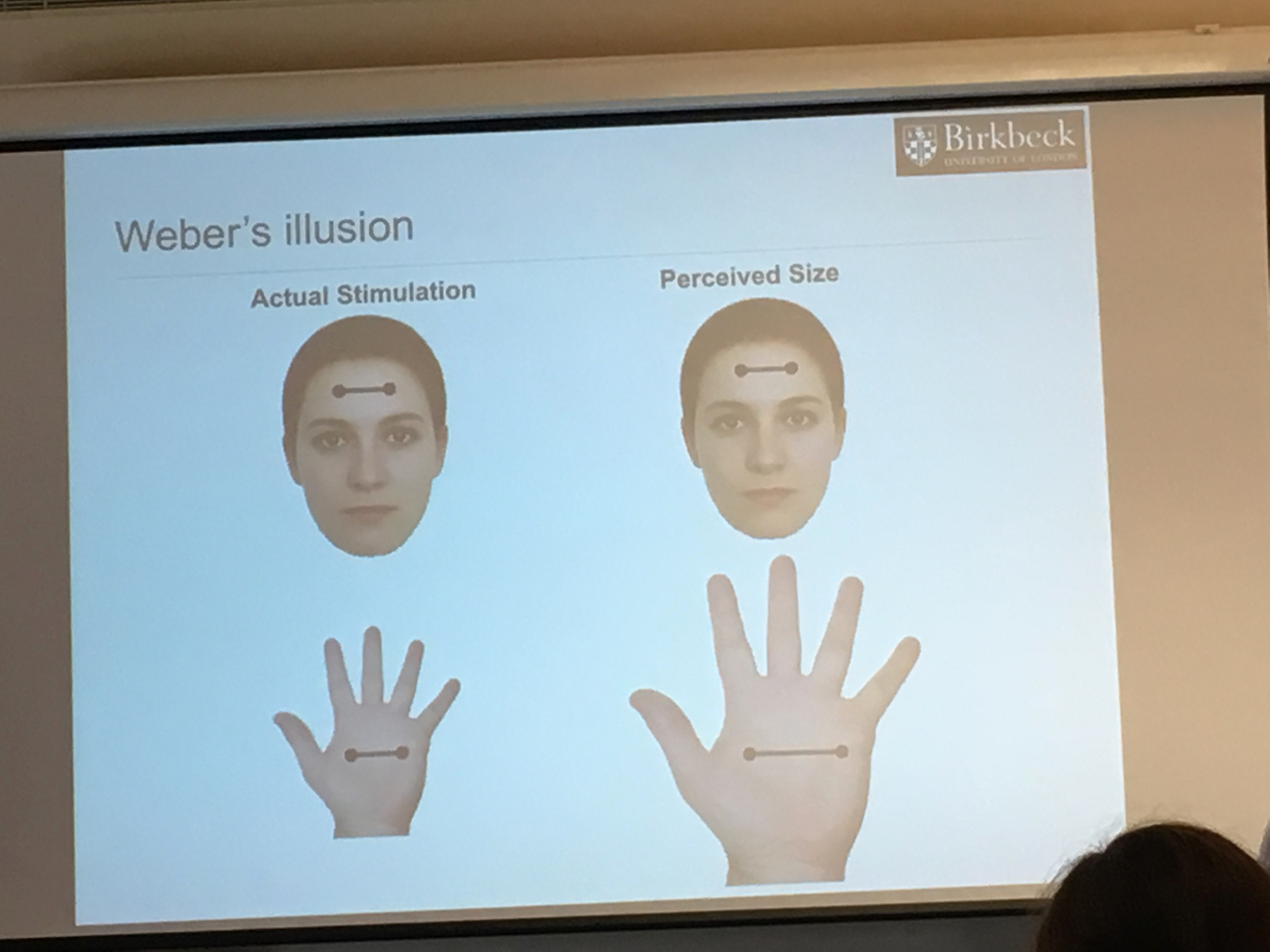 The Multi-faceted body – Antony Hall