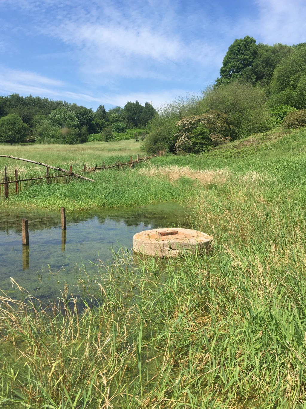 Snipe Clough – Antony Hall