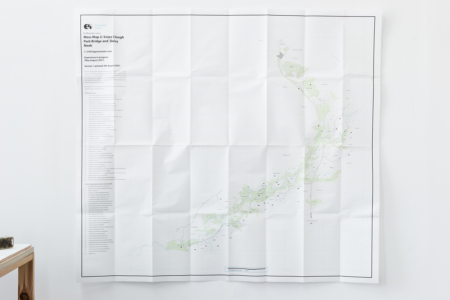 Moss Map – Antony Hall