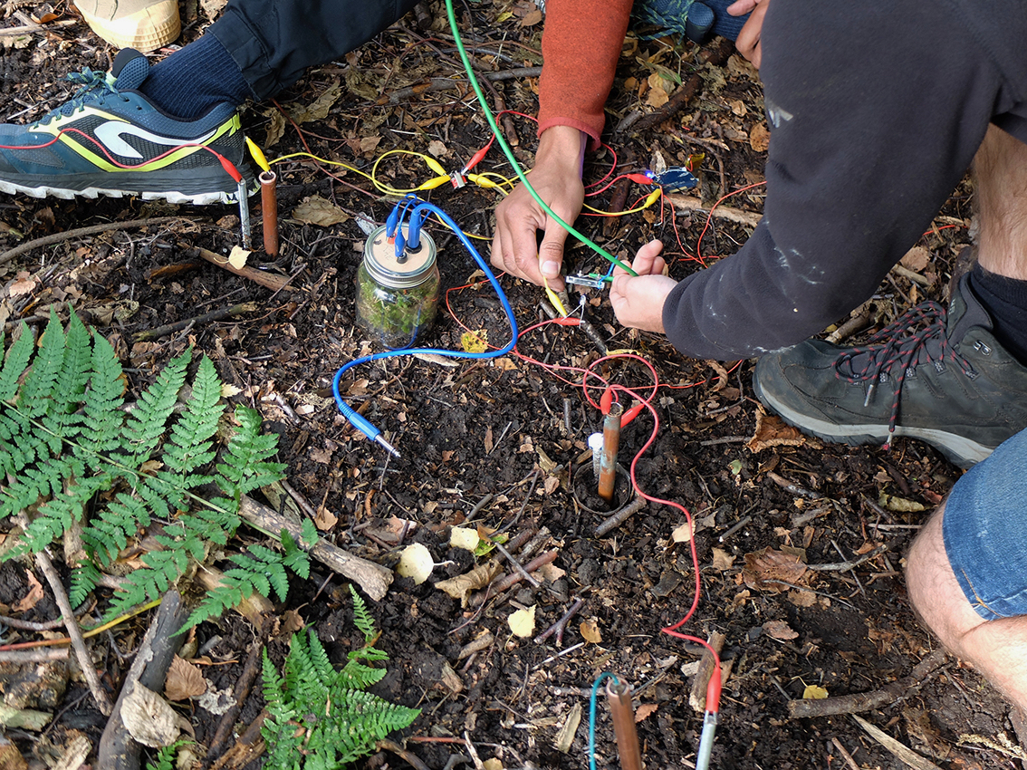 Boundary Detector Workshop / Part – 2 – Antony Hall
