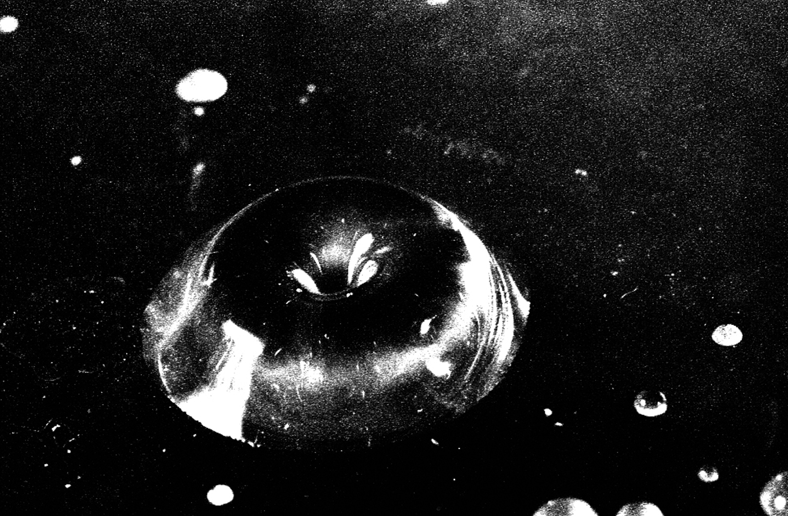 Science/art photography workshop – Antony Hall